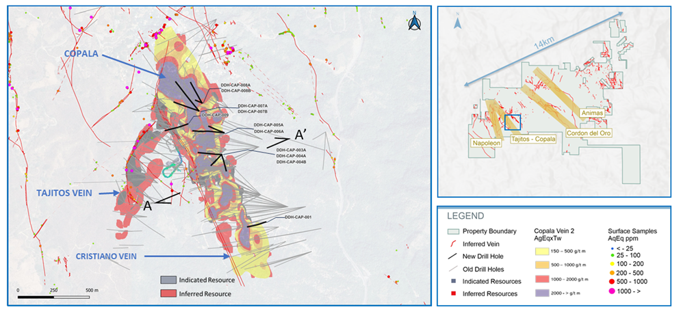 VIZSLA SILVER REPORTS ADDITIONAL HIGH GRADE INTERCEPTS AT COPALA WITH ...